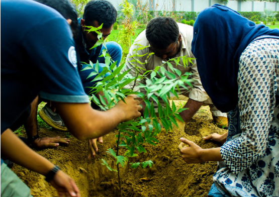 Implementing Impactful Projects - Project 100